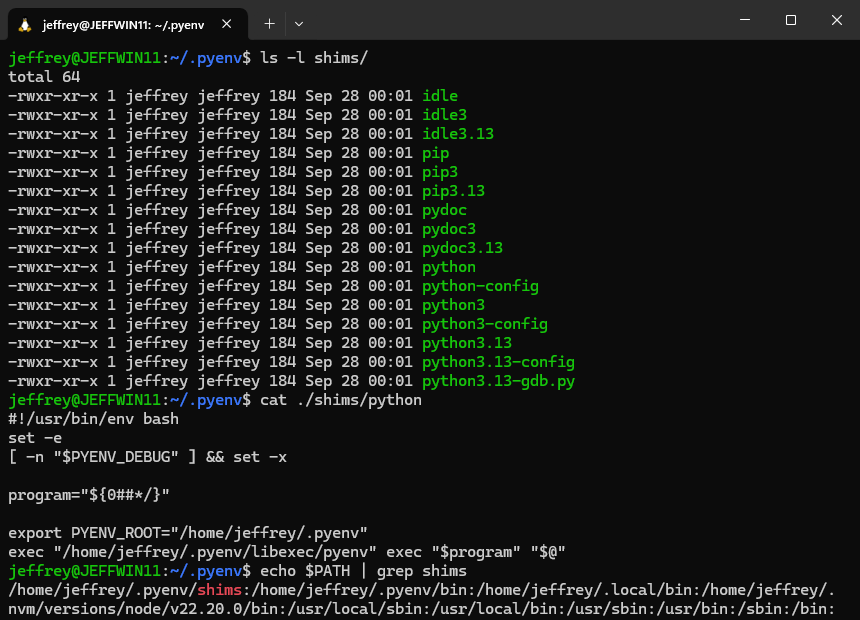 【茶包射手日記】Windows 與 WSL pyenv 打架記-黑暗執行緒